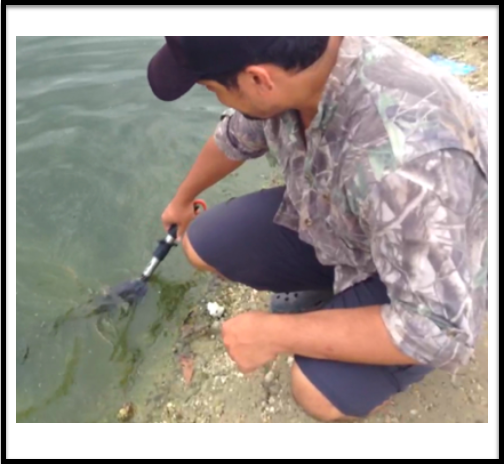 Kok Fishing Pond, Kundang – The Milkfish Lady Official Website
