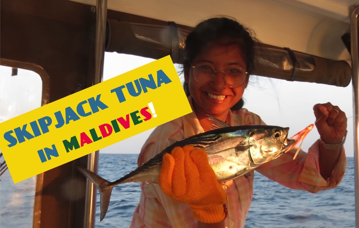 BLOG – Page 2 – The Milkfish Lady Official Website